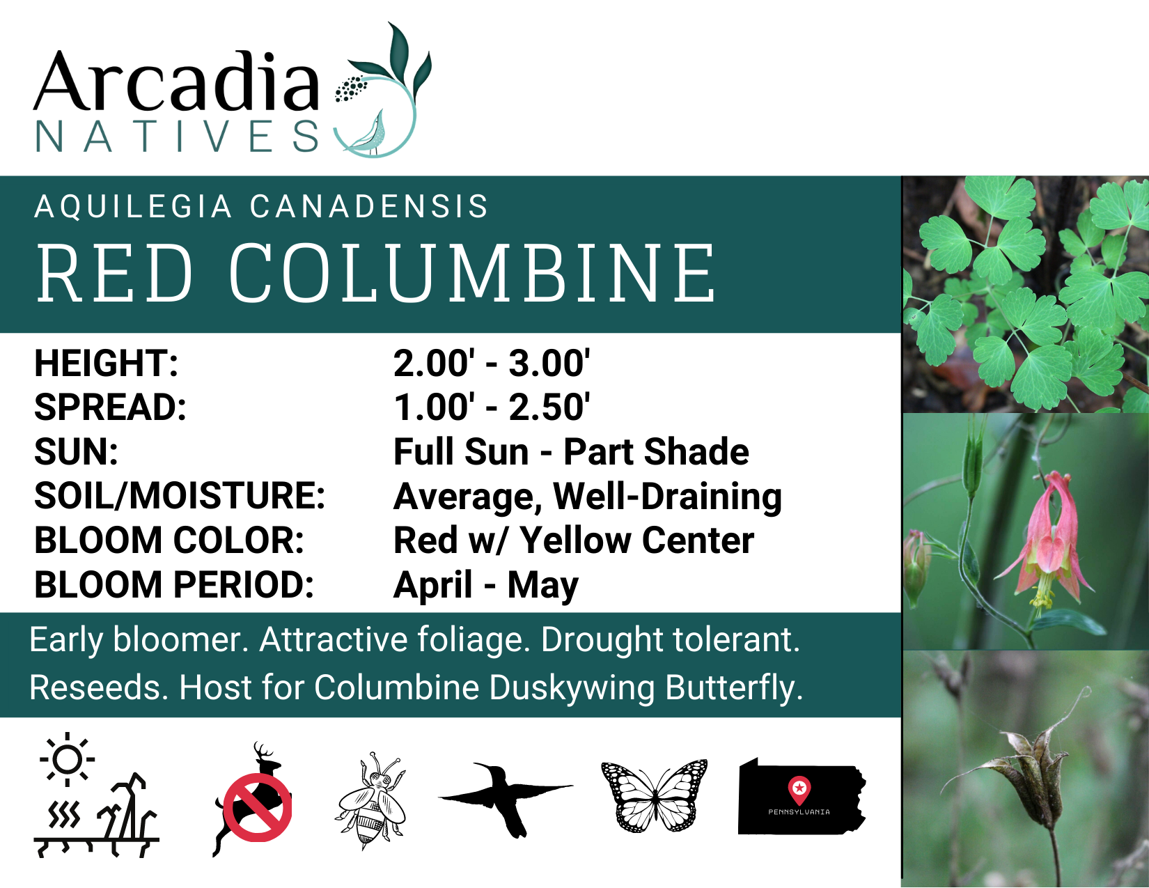 post-card-informative-sign-red-columbine – Arcadia Natives
