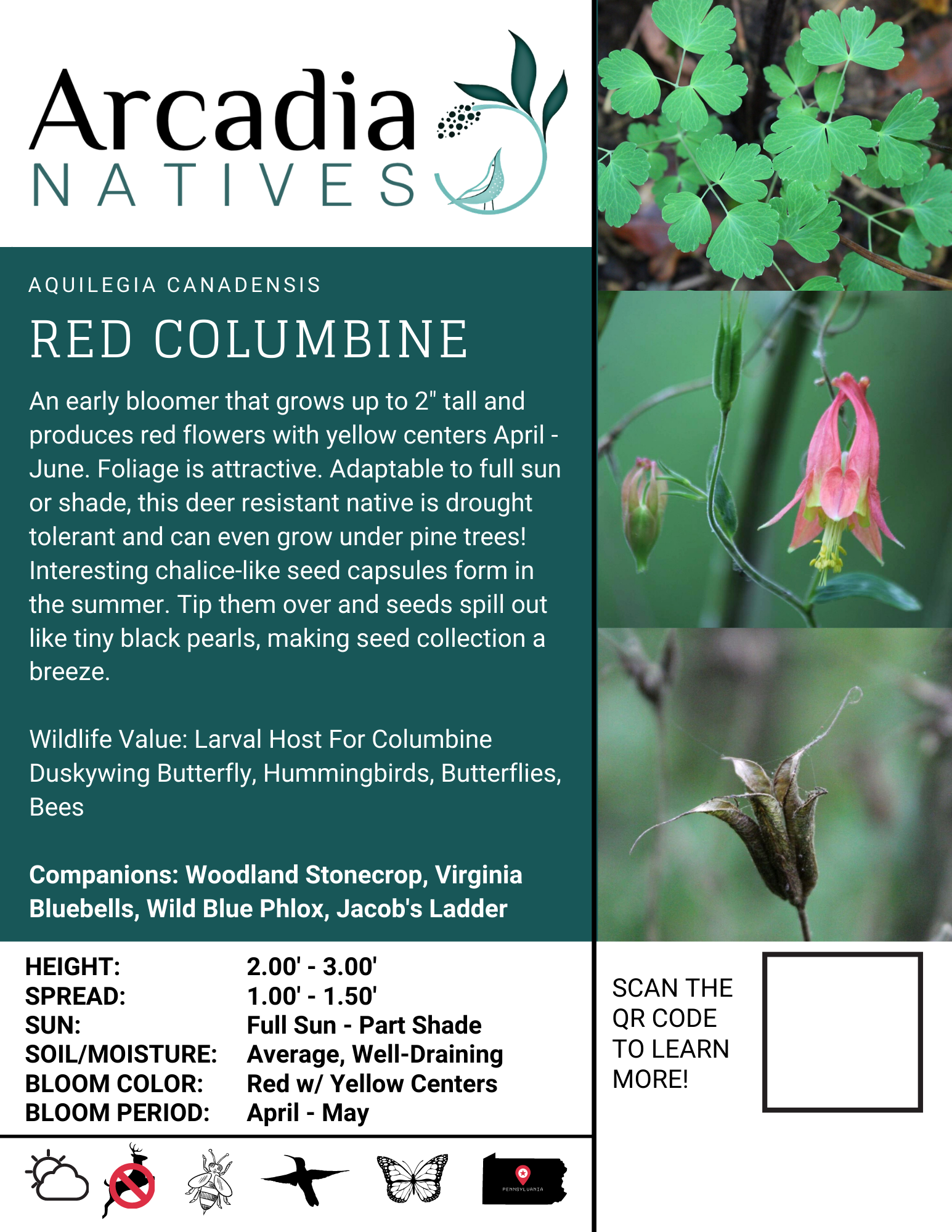 poster-informative-sign-red-columbine – Arcadia Natives