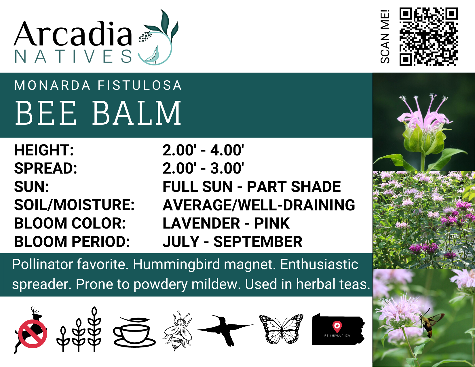 post-card-informative-sign-bee-balm – Arcadia Natives