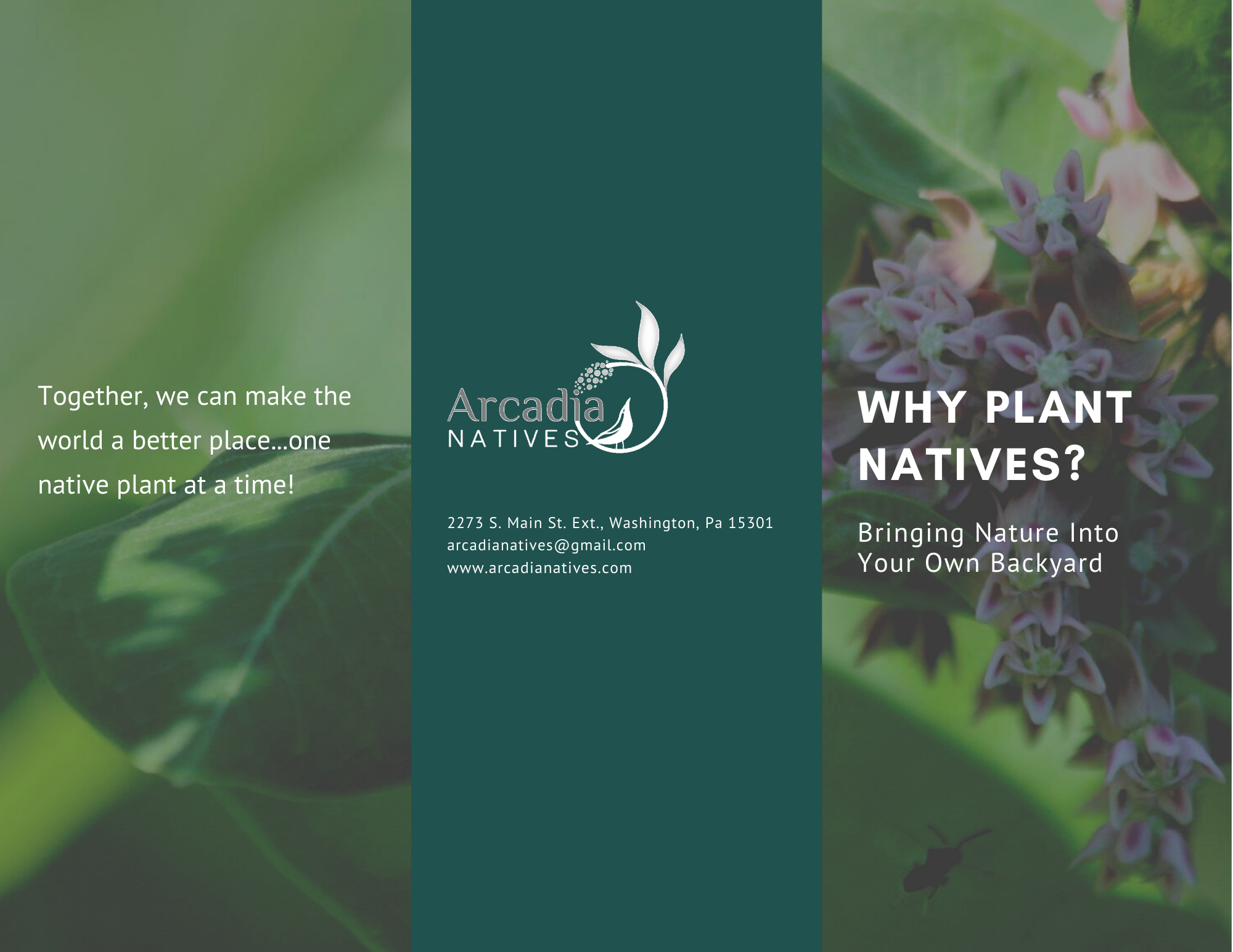 why-plant-natives-common-milkweed-trifold-brochure-page1-1 – Arcadia ...