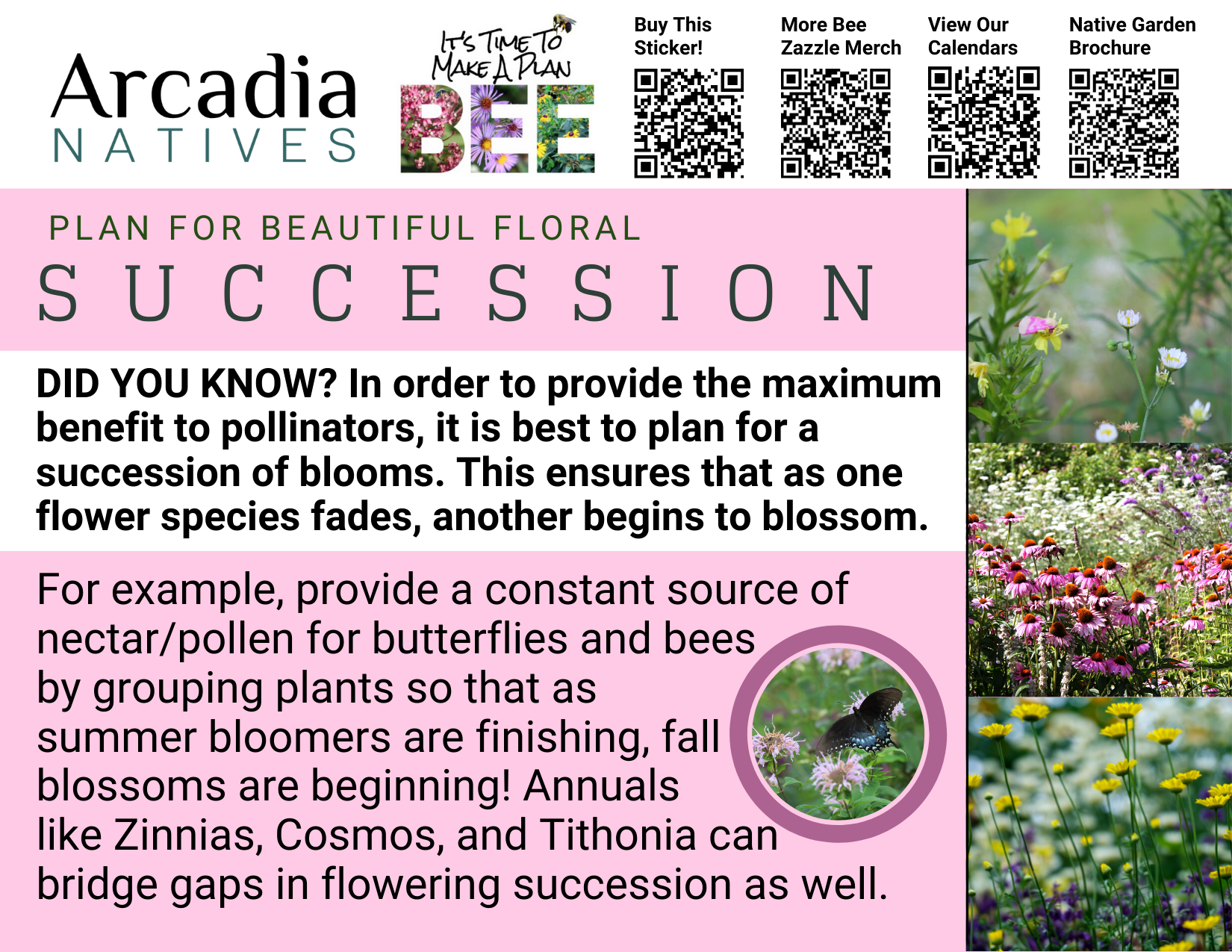 bloom-succession-postcard – Arcadia Natives