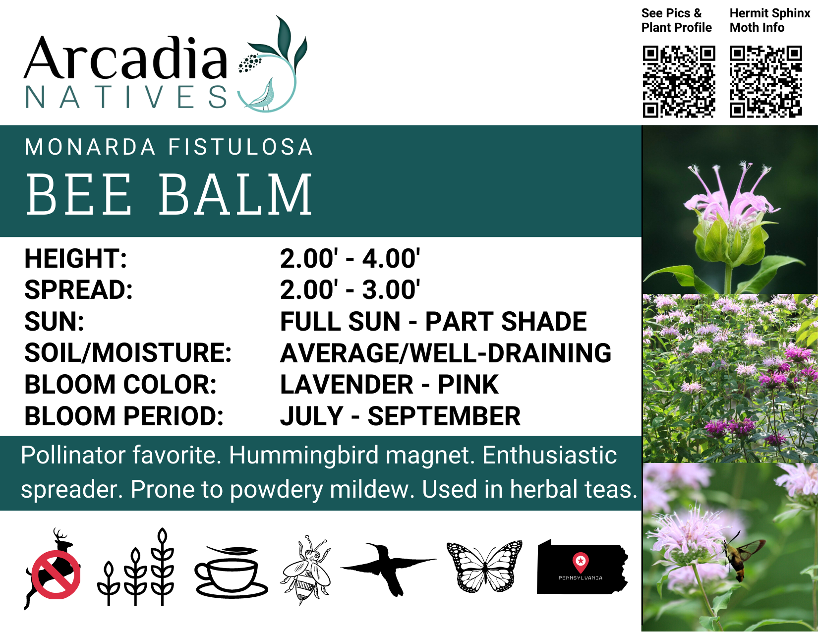 post-card-informative-sign-bee-balm – Arcadia Natives