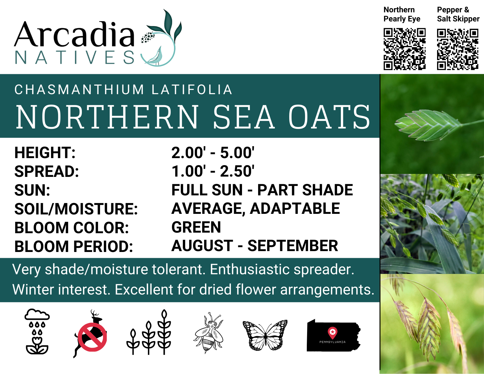 post-card-informative-sign-northern-sea-oats – Arcadia Natives