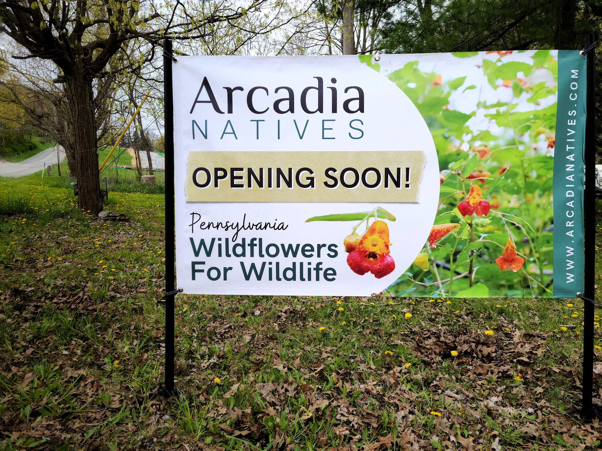 sign – Arcadia Natives